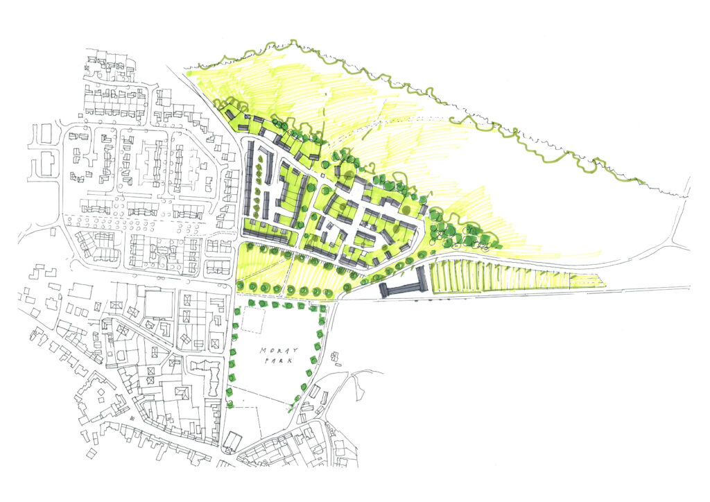 Three Corner Field in Doune
